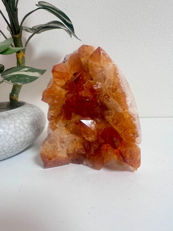 Genuine Citrine Geode 370 Gram AAA + Grade – Kristalglobe